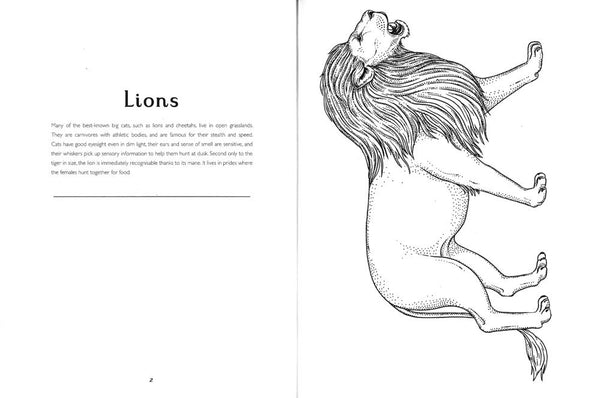 Animalium Colouring Book - Big Bad Wolf Books Sdn Bhd (Philippines)